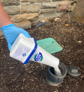 Root Killer for Sewer Lines & Septic Tank - Drain Pipe Cleaner | RootX
